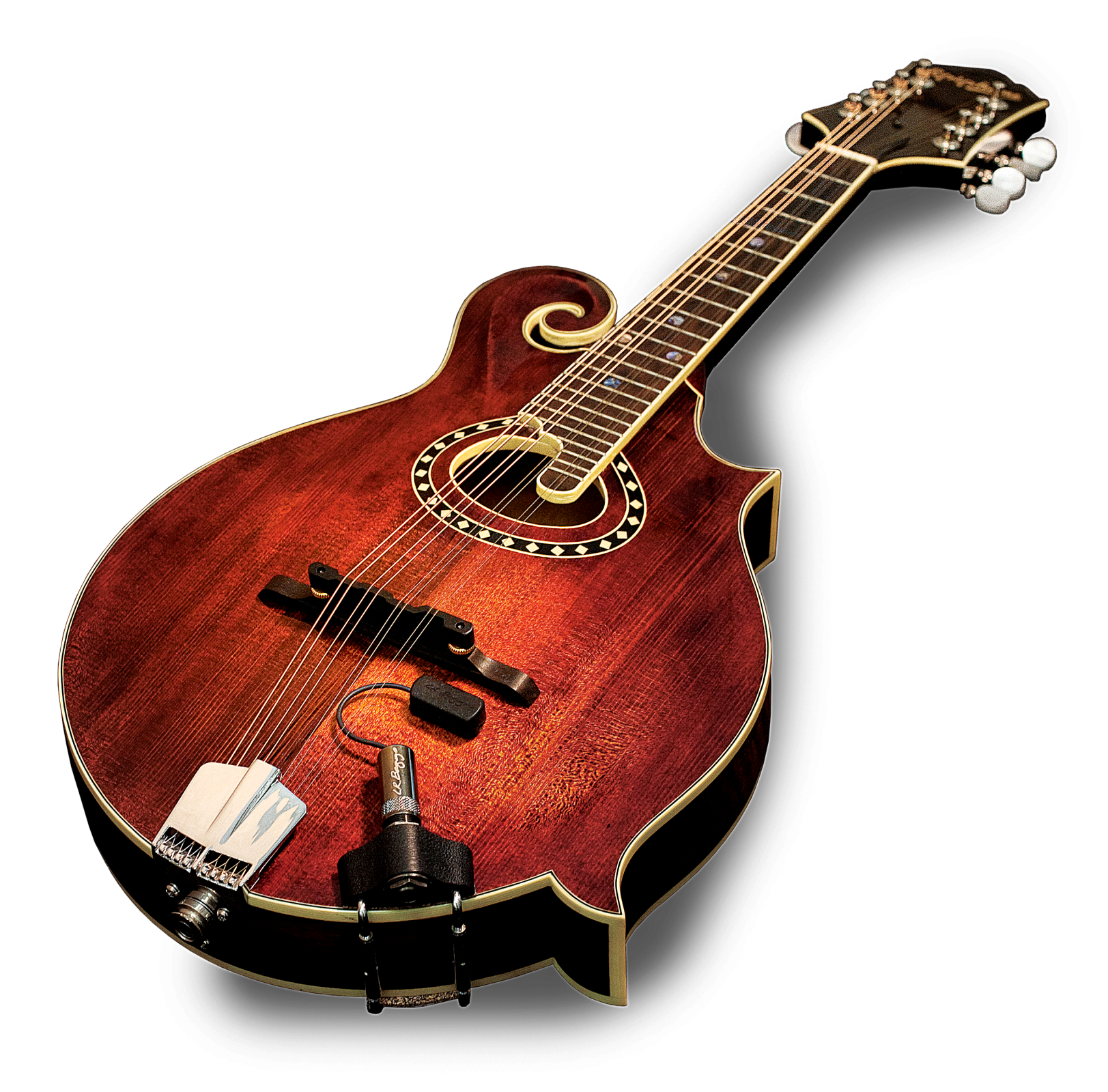 L.R. Baggs Radius Mandolin Pickup – Corner Music